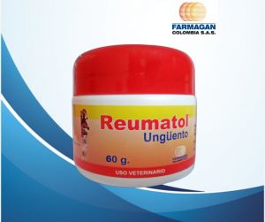 Reumatol 60
